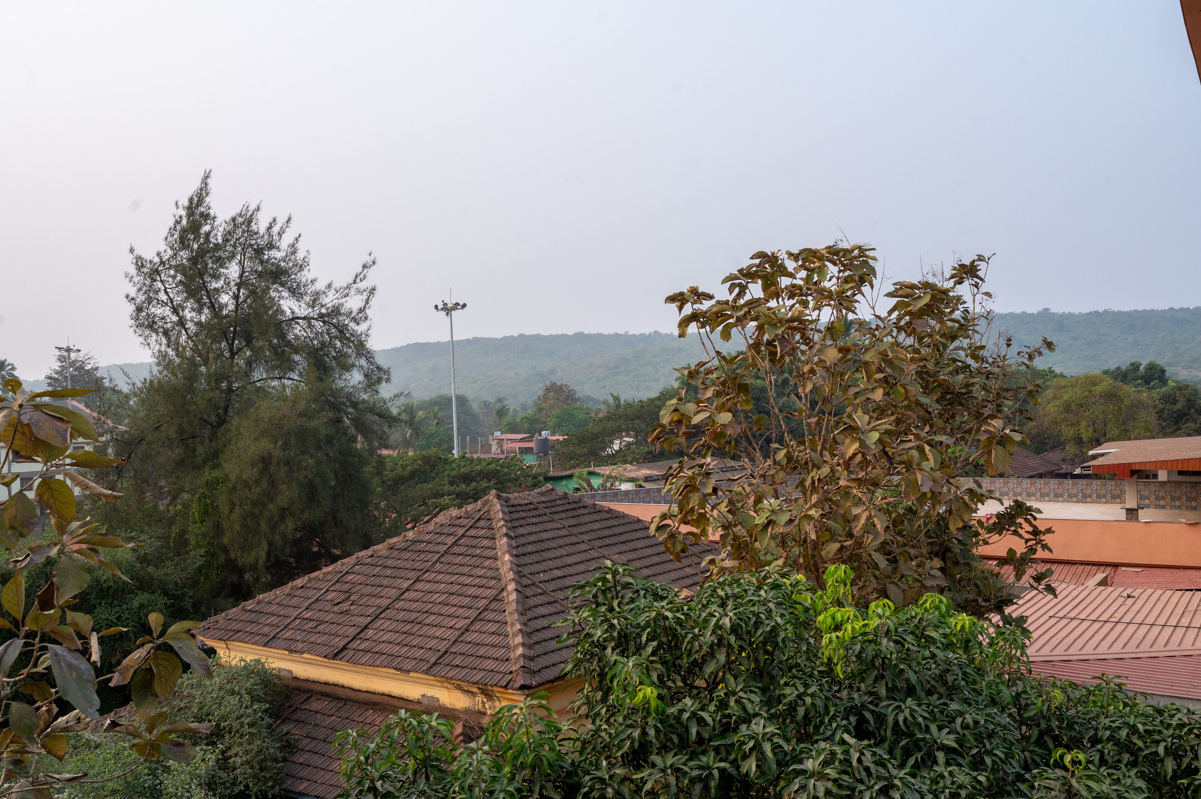 Uma área residencial com casas, árvores e uma colina ao longe.