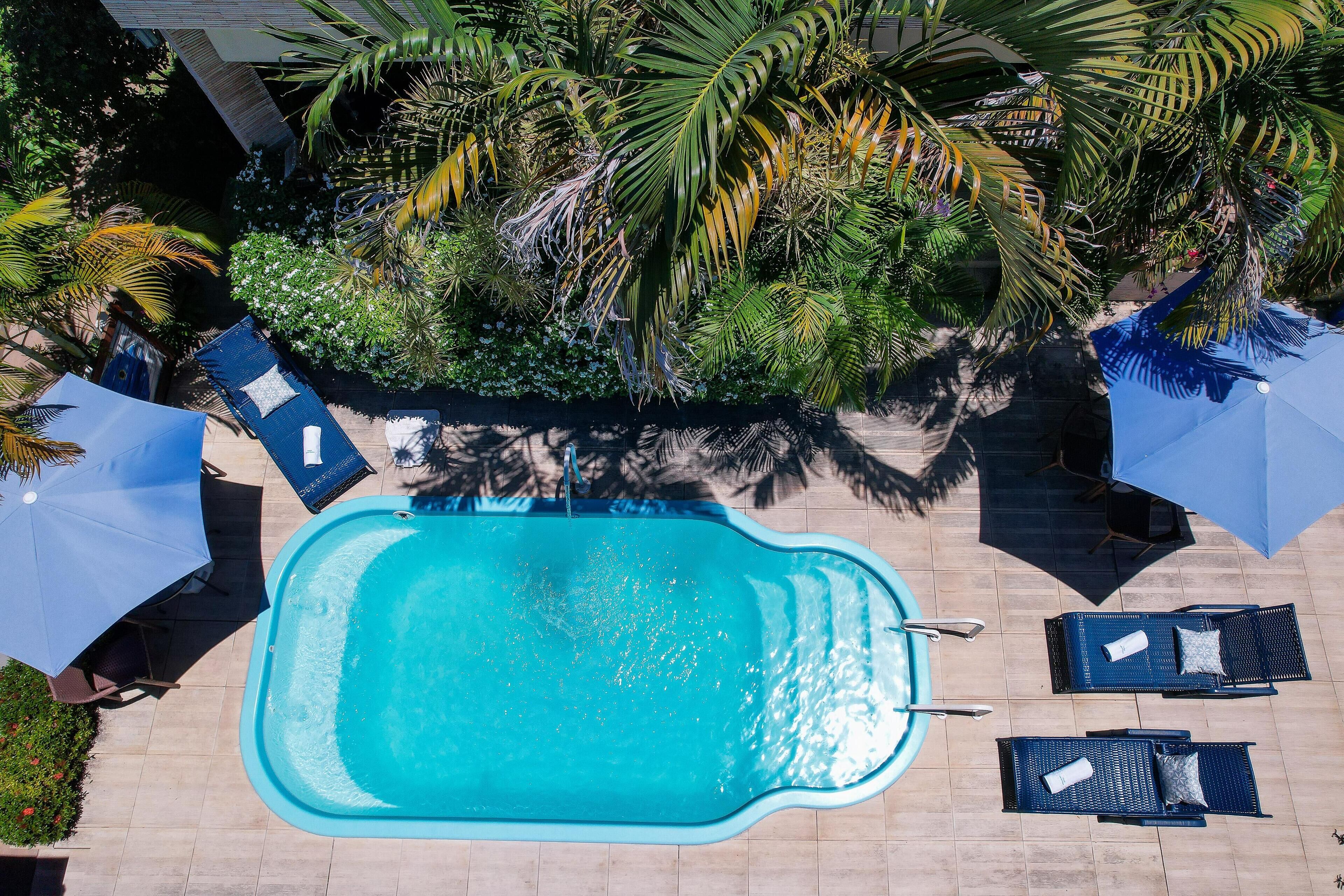 Uma piscina ao ar livre rodeada por espreguiçadeiras e guarda-sóis, com vegetação exuberante e um deck revestido a azulejos.