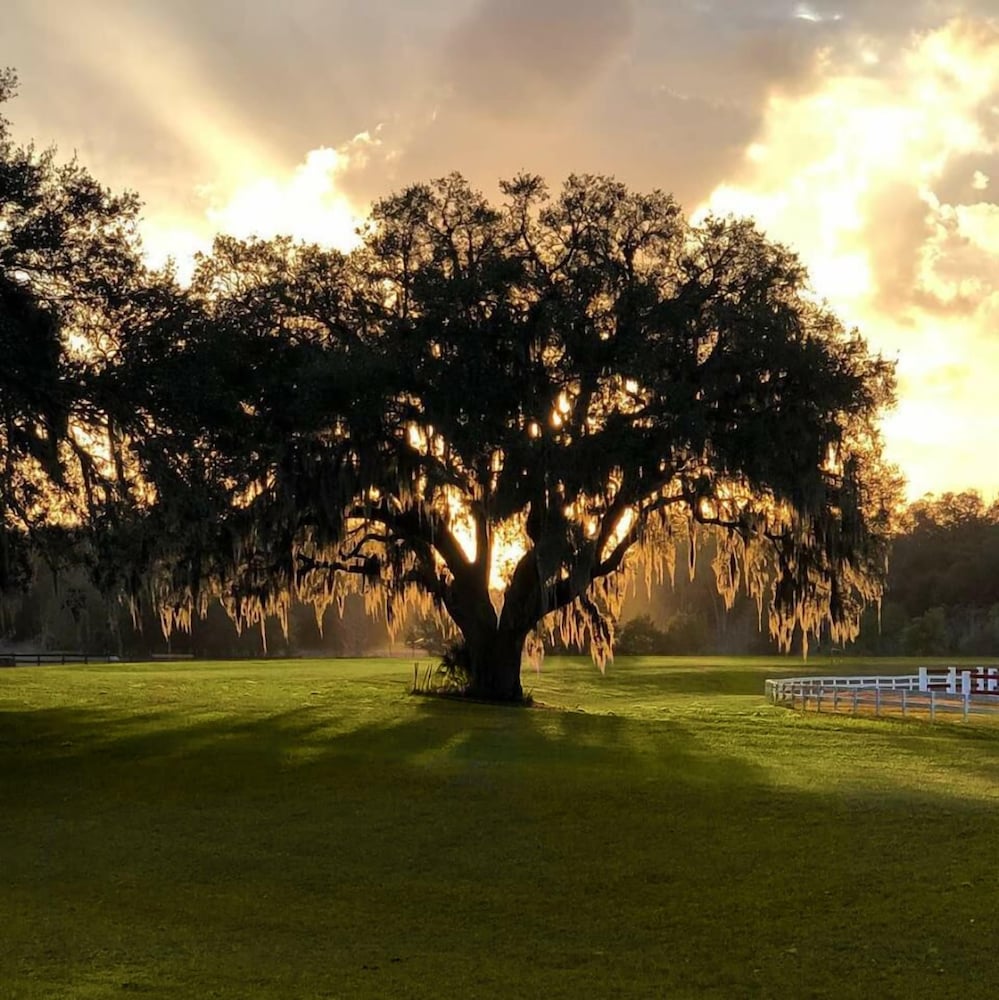Grand Oaks Resort - Lake Weir, FL