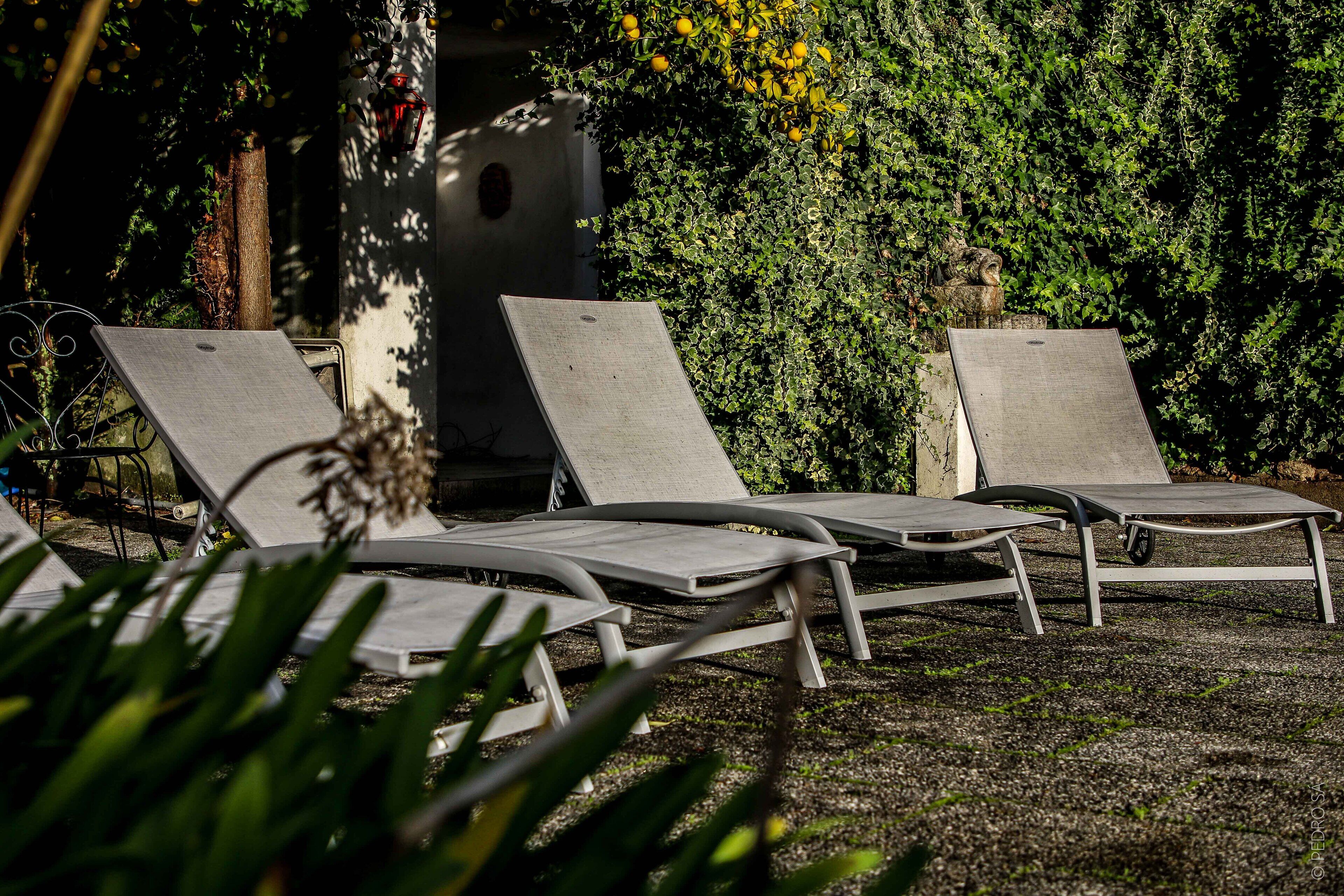 Farm In The Middle Of Nature - Castelo de Paiva