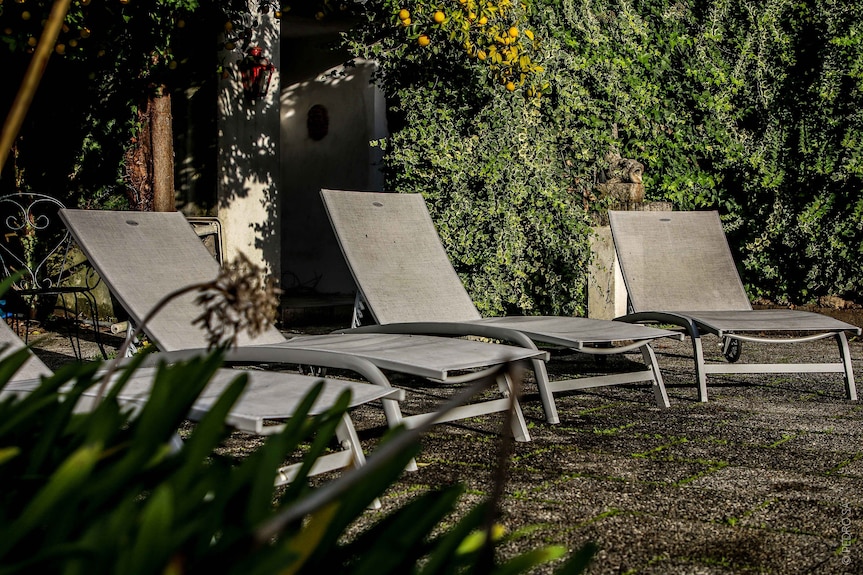 Farm In The Middle Of Nature - Castelo de Paiva