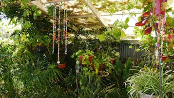 Jardim