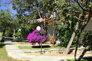 Vista da propriedade