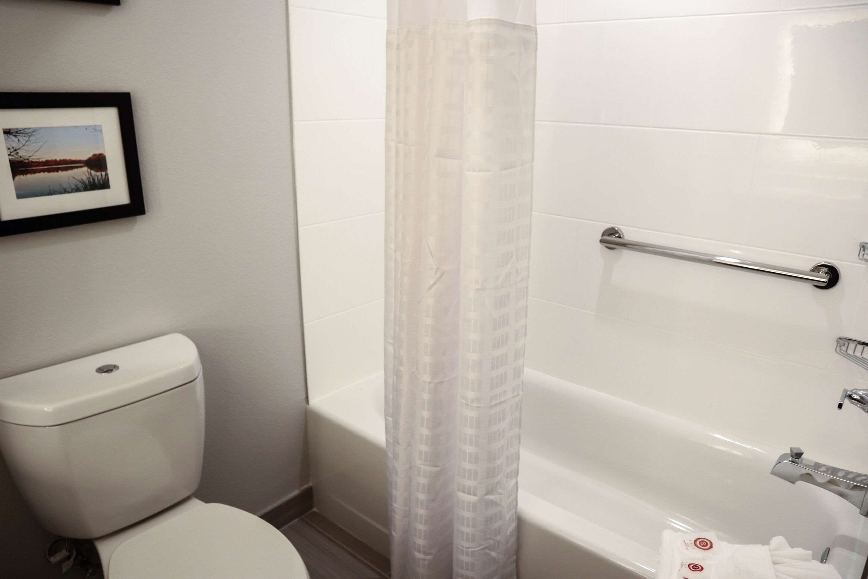 Um banheiro com vaso sanitário, banheira com cortina de chuveiro e quadro pendurado na parede.