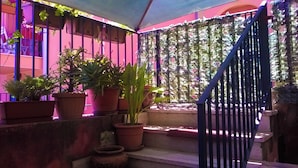 Escadaria com plantas em vasos e corrimão azul.