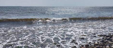 Casa | Vista para a água