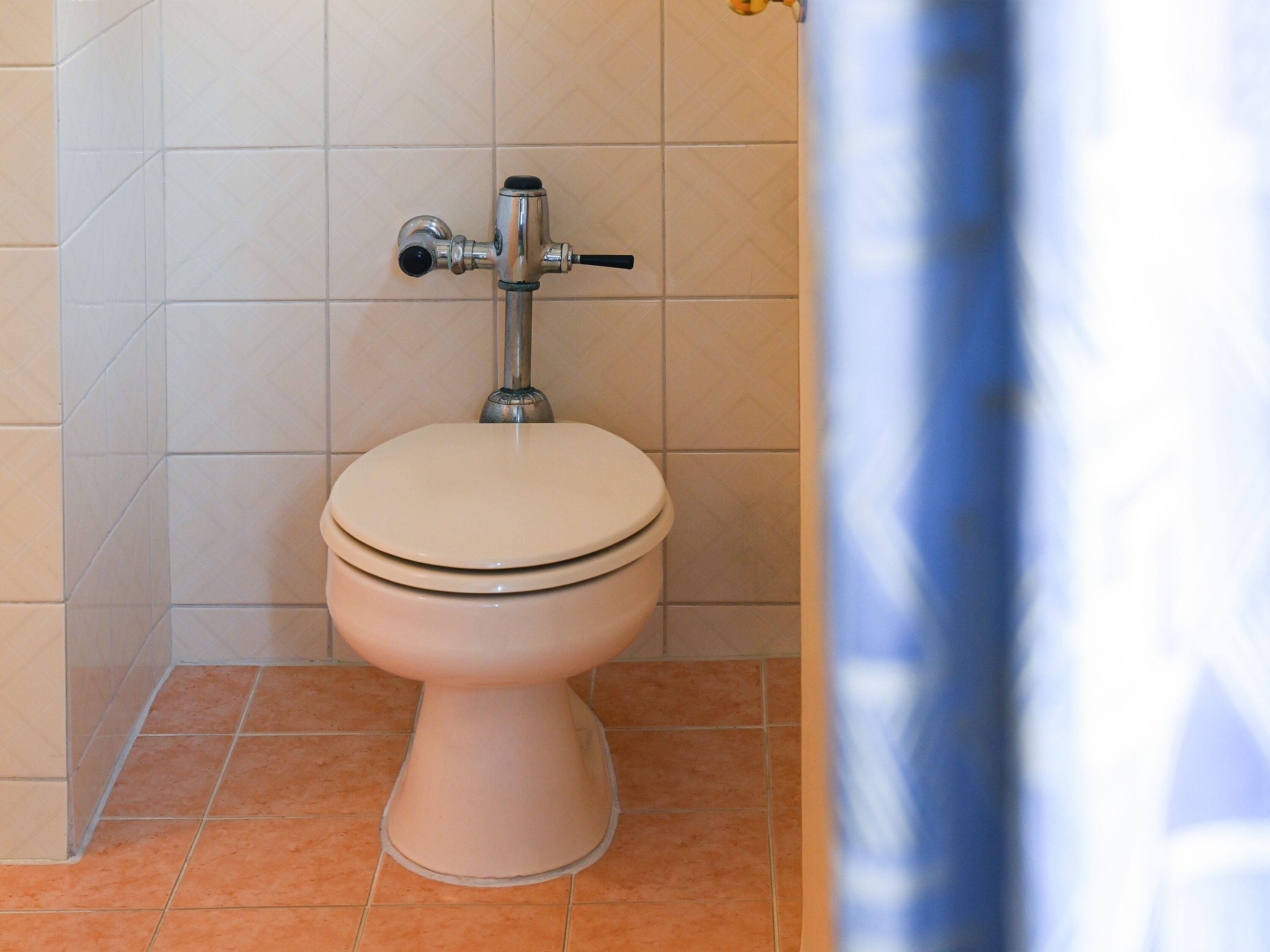 Sanitário com caixa de descarga e acionador.