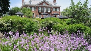 Um grande edifício de tijolos com fachada simétrica, cercado por vegetação exuberante e flores roxas.