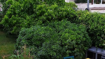 Terraço/pátio interior