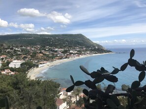 Vista da propriedade