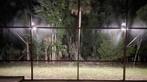 Área da piscina com vista para um jardim e árvores através de grandes janelas.