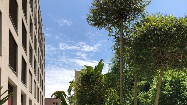 Um pátio com vasos de plantas, bancos de madeira e um edifício com design moderno.