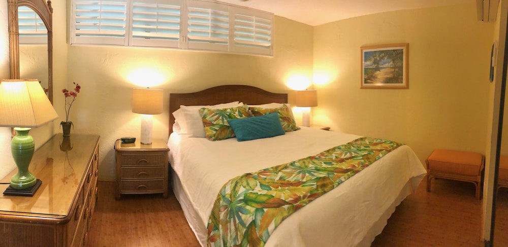 No Resort Fees As Of 7/1/25! Beautiful Ocean Front, Ground Level Condo With A/c. - Maui, HI
