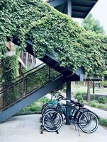 Um bicicletário coberto com bicicletas estacionadas embaixo, cercado por vegetação e um edifício de pedra.