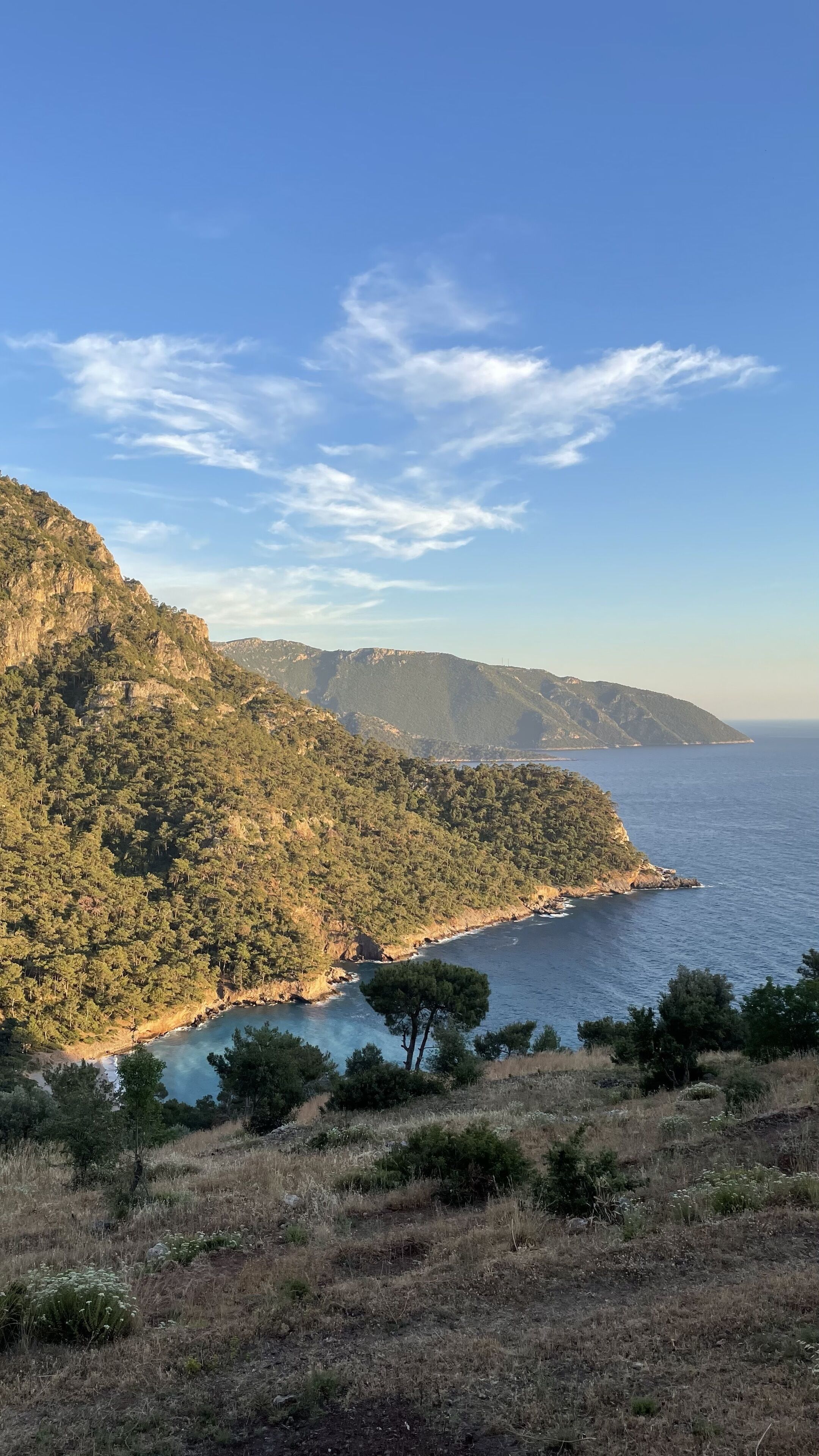 Paisagem costeira com céu claro, litoral rochoso e vegetação densa.