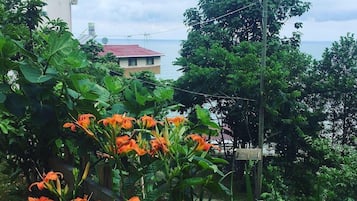 Jardim