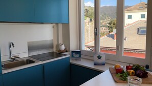 Cozinha com armários azuis, pia de aço inoxidável e janela com vista para prédios e colinas.