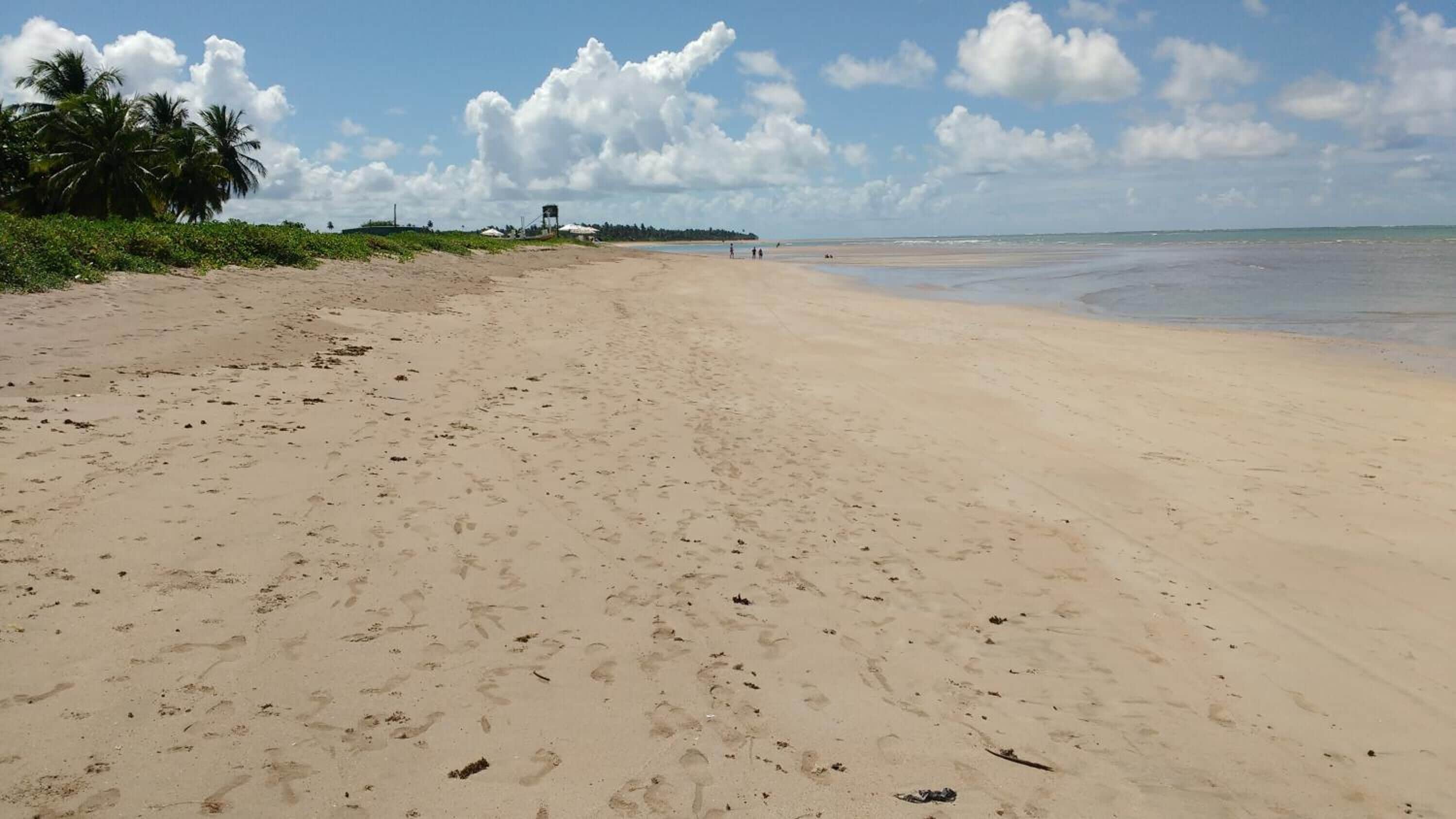 Uma extensa praia arenosa com pegadas, palmeiras e um corpo d'água ao longe, sob um céu parcialmente nublado.