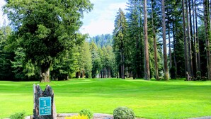 Campo de golfe com placa indicando o buraco 1, rodeado por árvores altas e um céu claro.