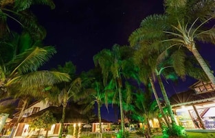 Jardim