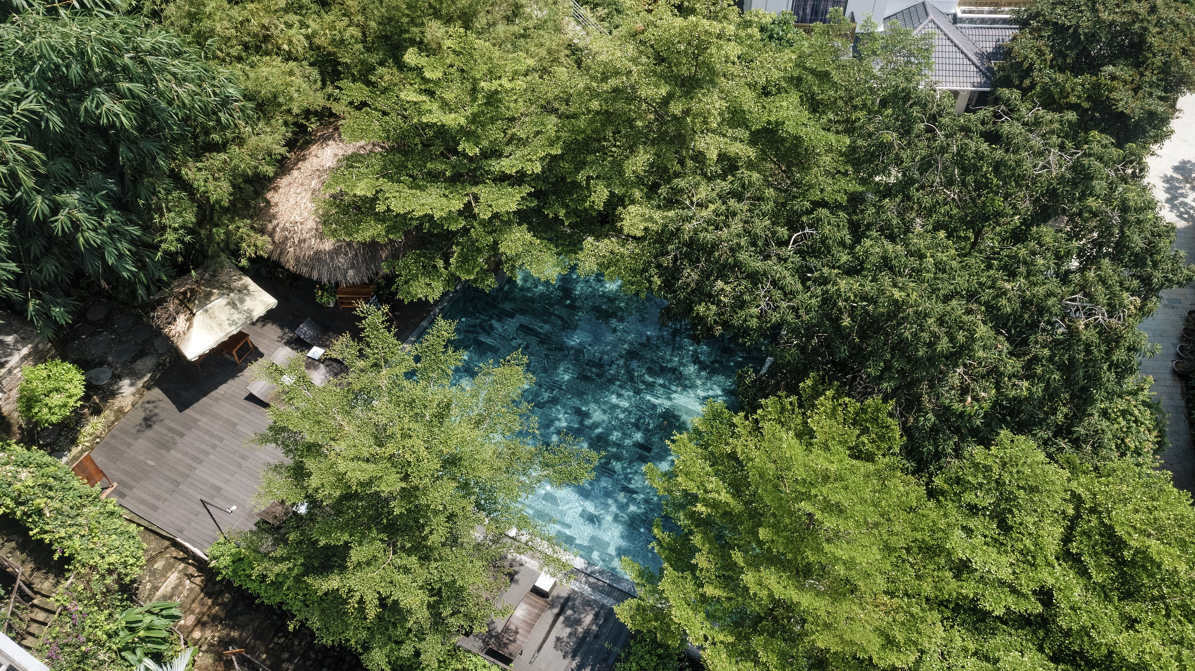 Vista aérea de um jardim exuberante com uma banheira de hidromassagem, rodeada por vegetação densa.