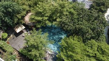 Vista aérea de um jardim exuberante com uma banheira de hidromassagem, rodeada por vegetação densa.