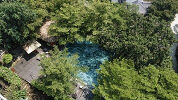 Vista aérea de um jardim exuberante com uma banheira de hidromassagem, rodeada por vegetação densa.