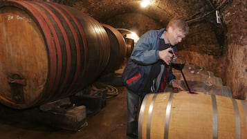 Uma pessoa servindo vinho de um barril em adega com grandes barris de madeira e parede de pedra.