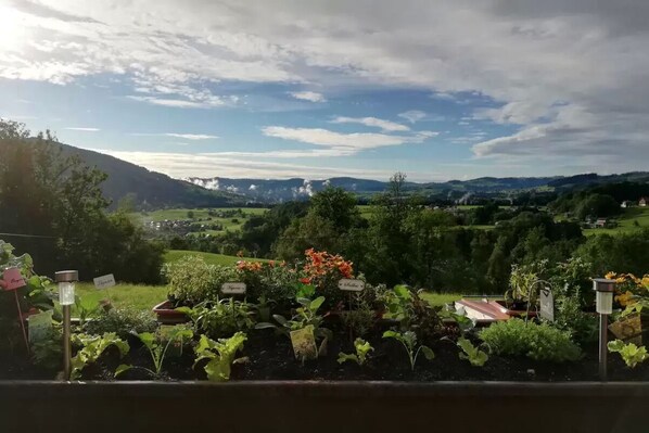 Vista para a montanha