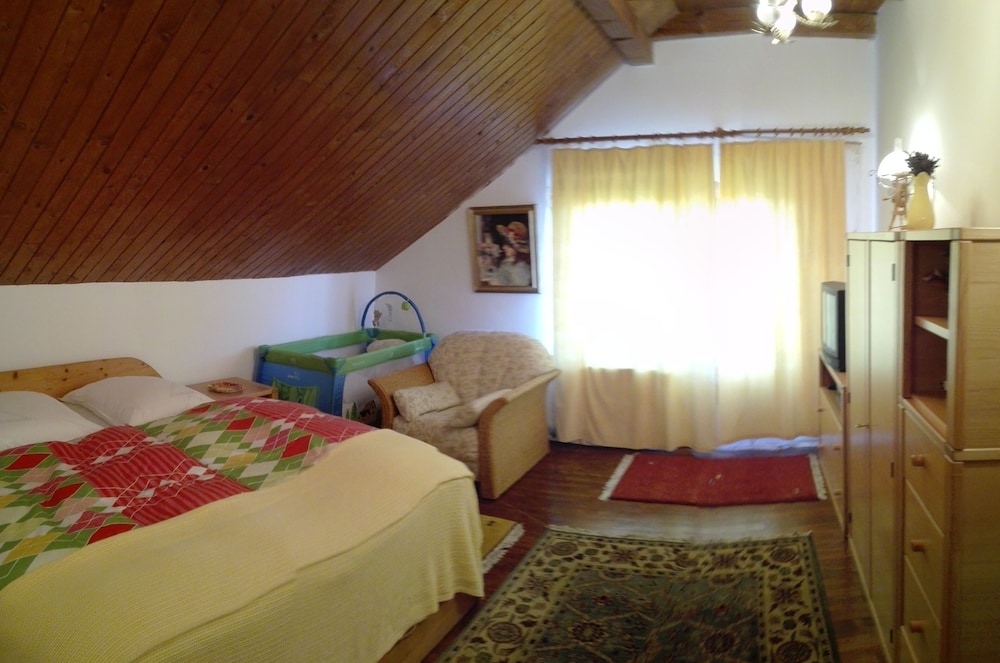 Villa Serbota With 2000 Sqm Garden And Creek - Transilvania