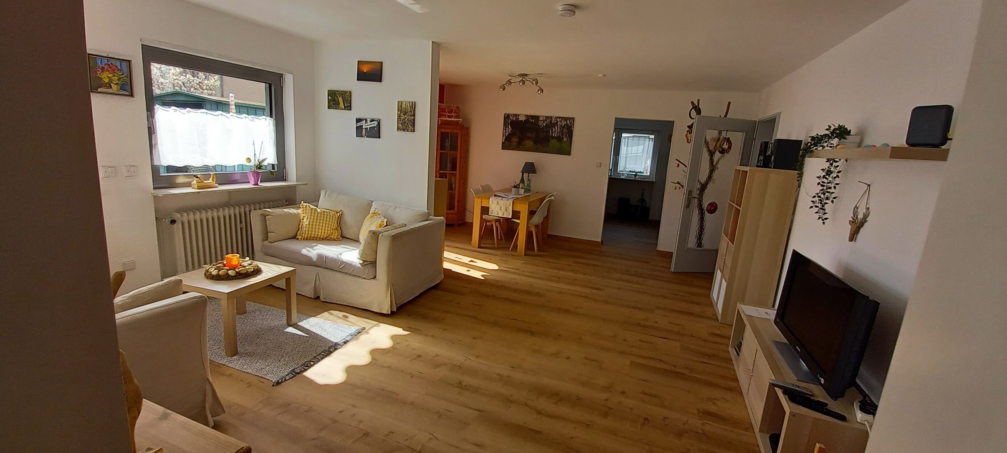 Sunny Holiday Tawny Owl In The Palatinate Forest - Pirmasens