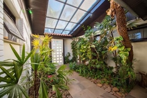 Uma estufa com teto de vidro, rodeada por plantas tropicais e um caminho de pedra.