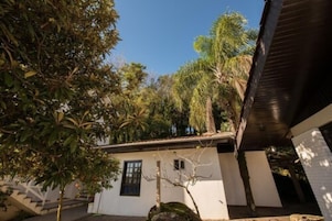 Um edifício branco com telhado plano, rodeado por diversas árvores e uma escadaria que leva a um andar superior.