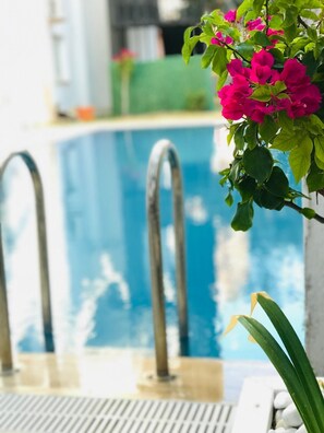 Piscina exterior sazonal 