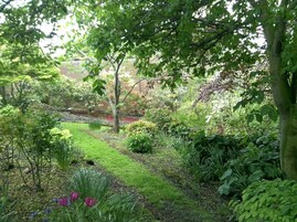 Um jardim com diversas plantas e um caminho gramado.