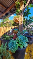 Terraço/pátio