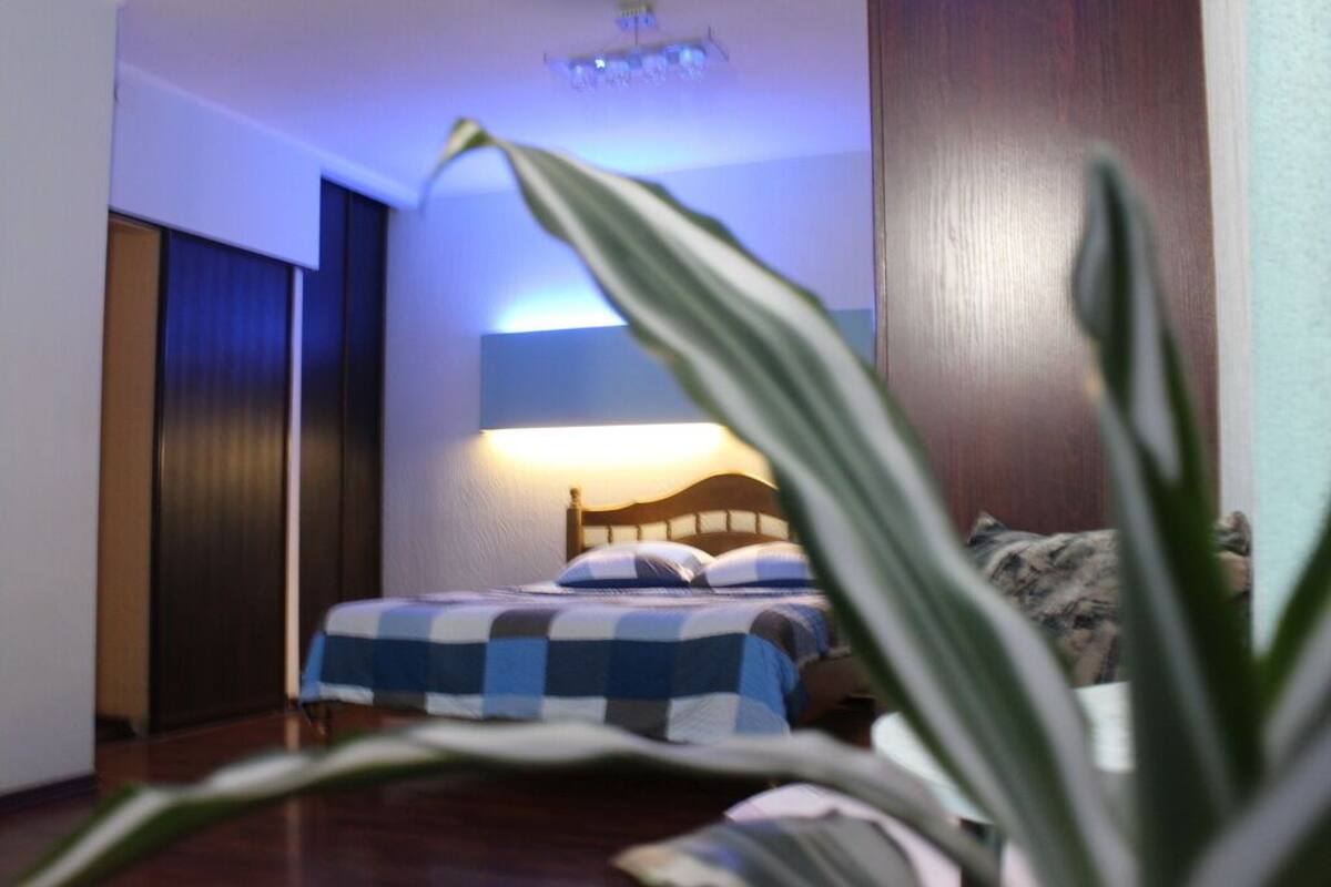 Quarto de hotel com cama, mesa de cabeceira, abajur e uma planta.