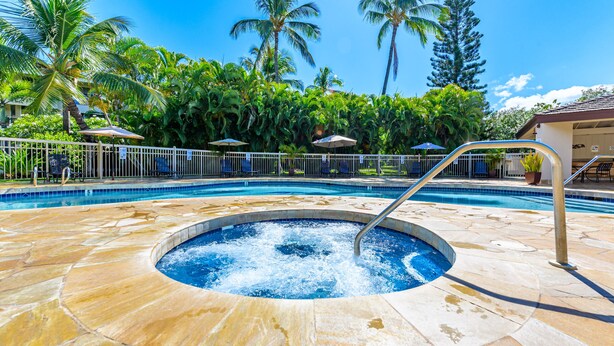 Piscina com hidromassagem, cercada por palmeiras e espreguiçadeiras.