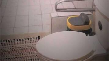 Uma casa de banho pequena com sanita, zona de duche e lavatório.