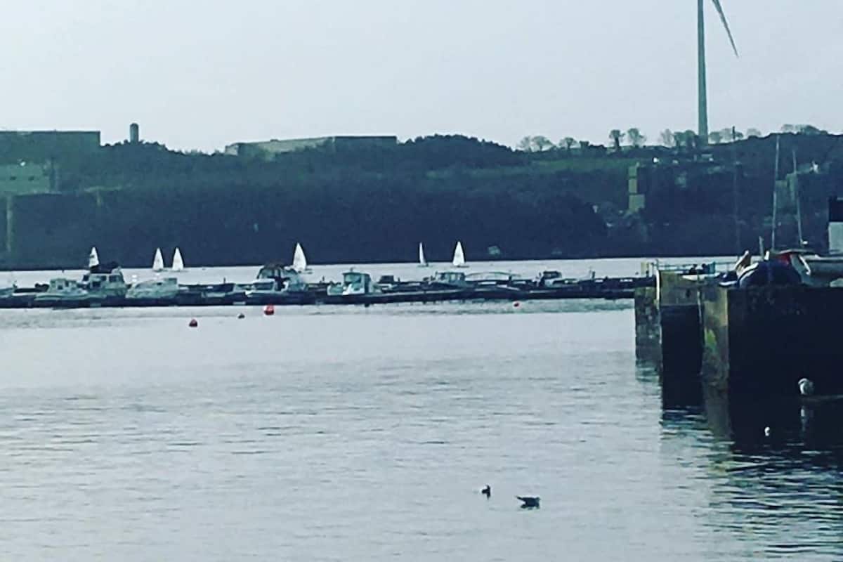 Um porto com uma turbina eólica, barcos e um corpo d'água calmo.