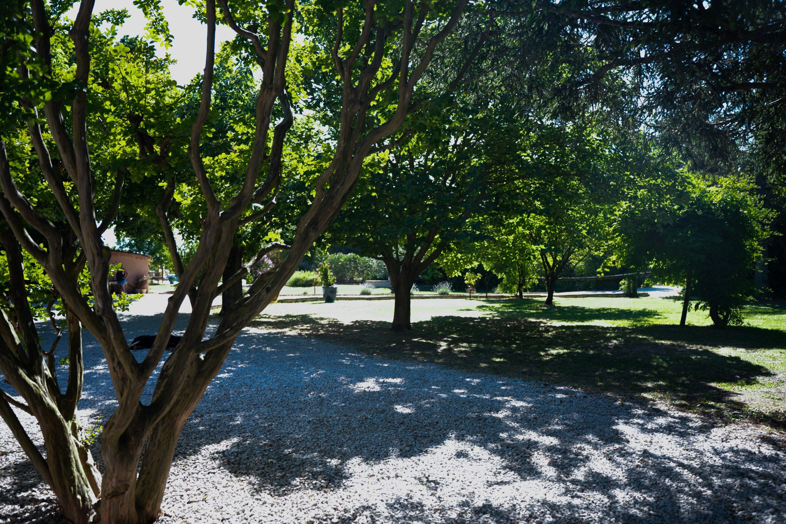 Um parque com árvores, caminhos de cascalho e um edifício ao fundo.