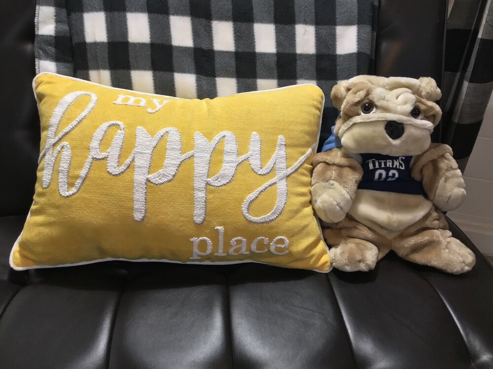 Coco's Cabin #3, Where Pets Stay Free - Nashville, TN