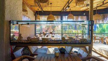 Terraço/pátio interior