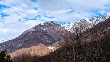 Paisagem montanhosa com picos nevados, um vale com árvores esparsas e céu claro.