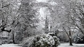 Paisagem coberta de neve, com árvores e um arbusto.