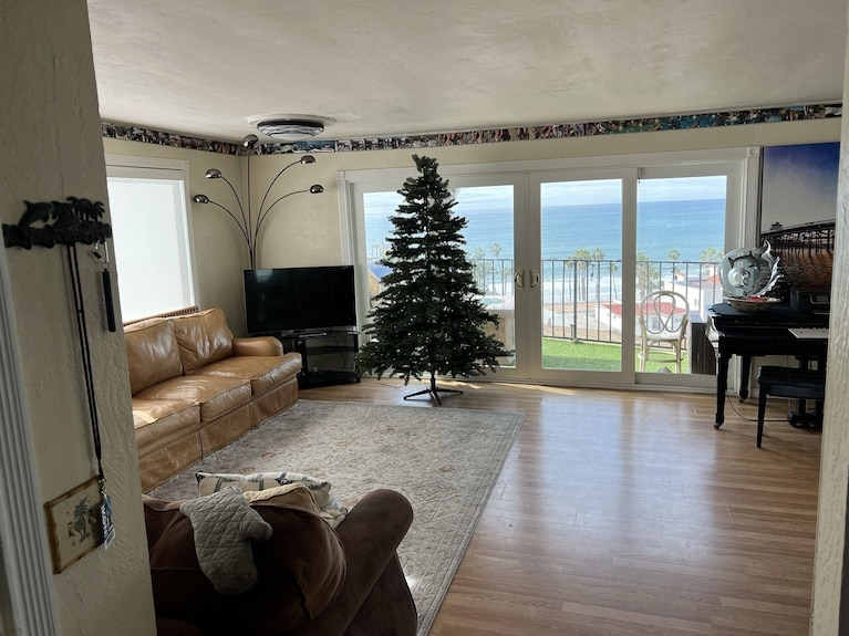 El 'Top Of The World' Palmtree View Suite! 2br / 2ba - San Clemente, CA