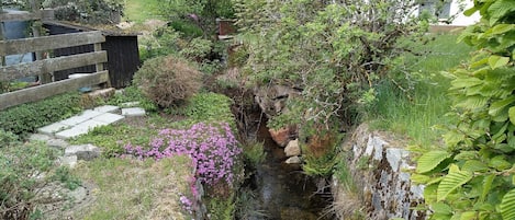 Jardim