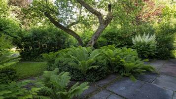 Terraço/pátio interior