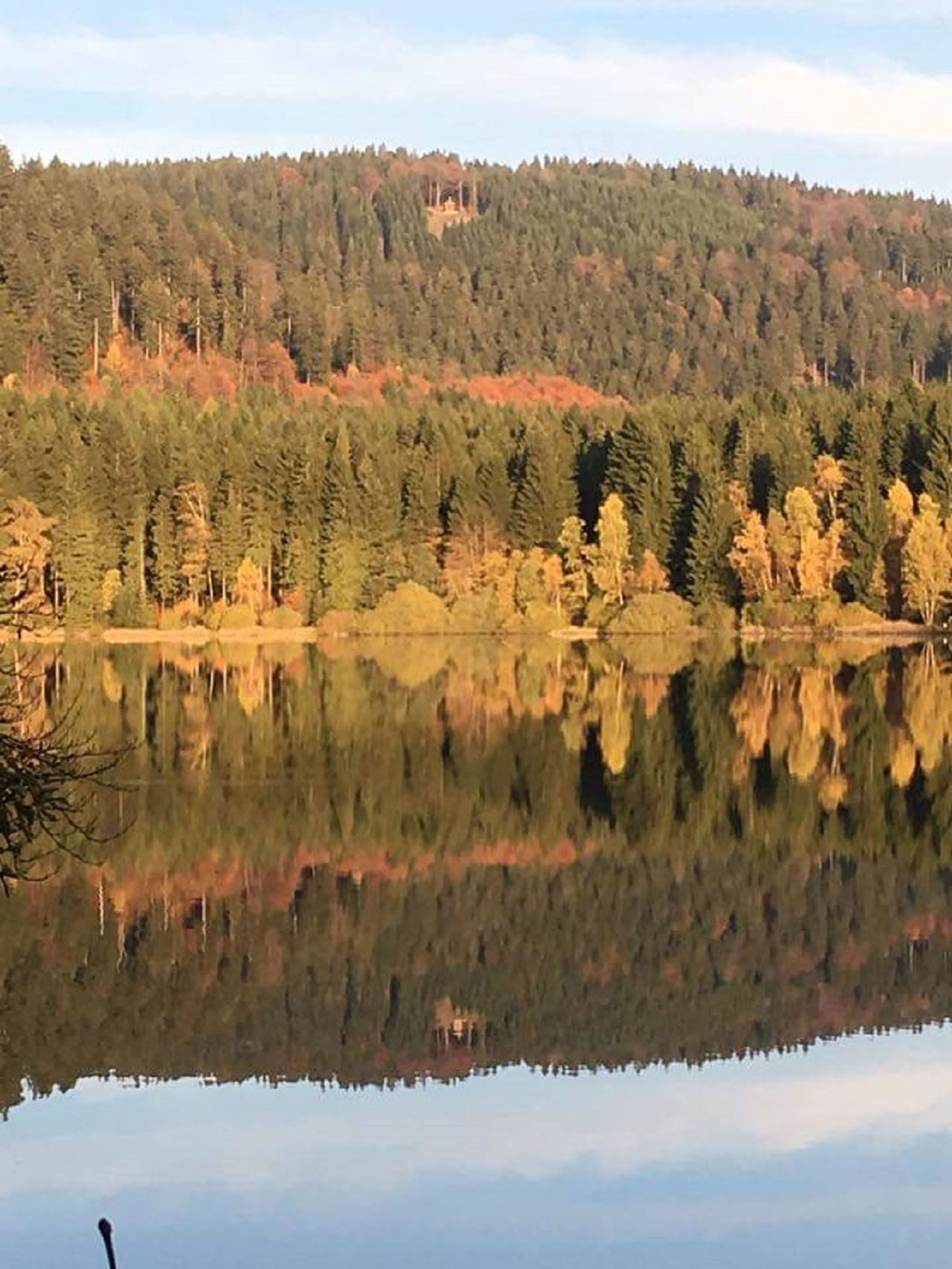 Um lago tranquilo rodeado por uma floresta densa com folhagem outonal, refletindo as árvores e o céu.