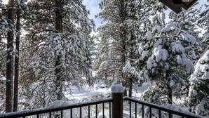Uma floresta coberta de neve, com corrimão de metal e poste de madeira.